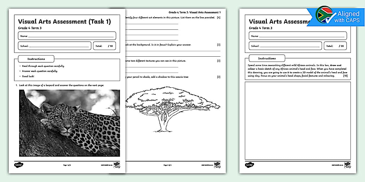 Grade 4: Term 3 Creative Arts: Visual Arts Assessment and Rubric
