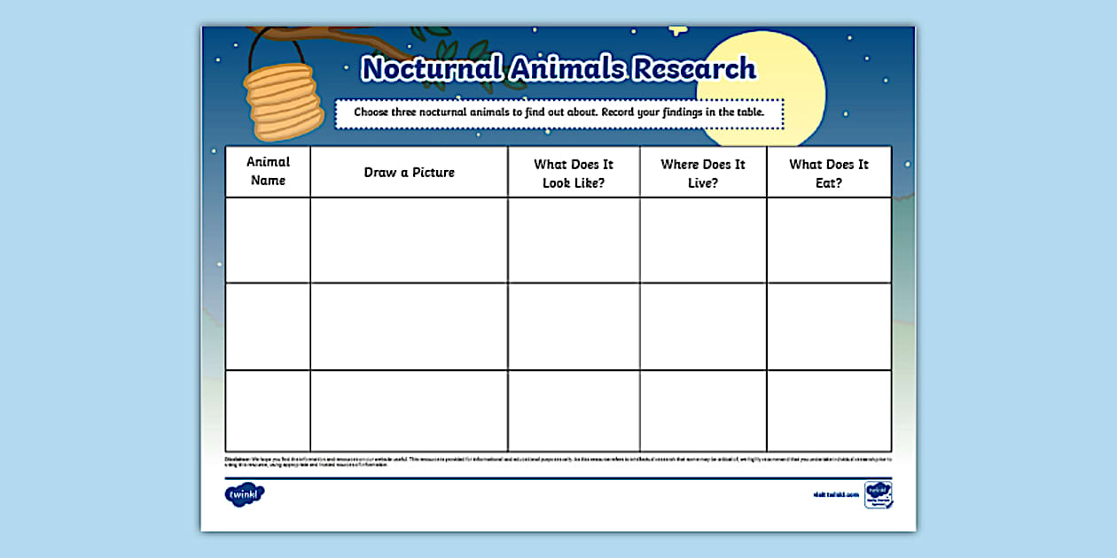 KS1 Nocturnal Animals Research Activity (teacher made)