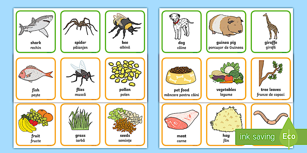Animals and What They Eat Matching Cards English/Romanian - Animals and ...
