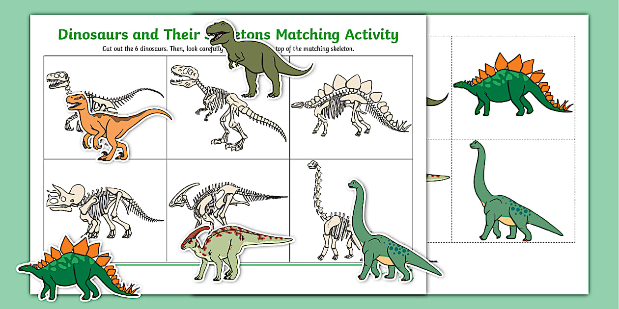 Dinosaurs and Their Skeletons Matching Activity - Twinkl