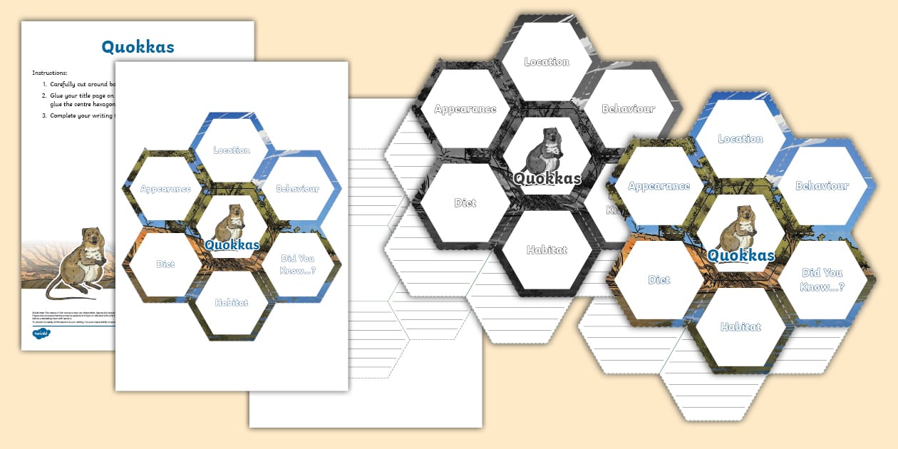 All About Quokkas Hexagon Writing Template - Twinkl