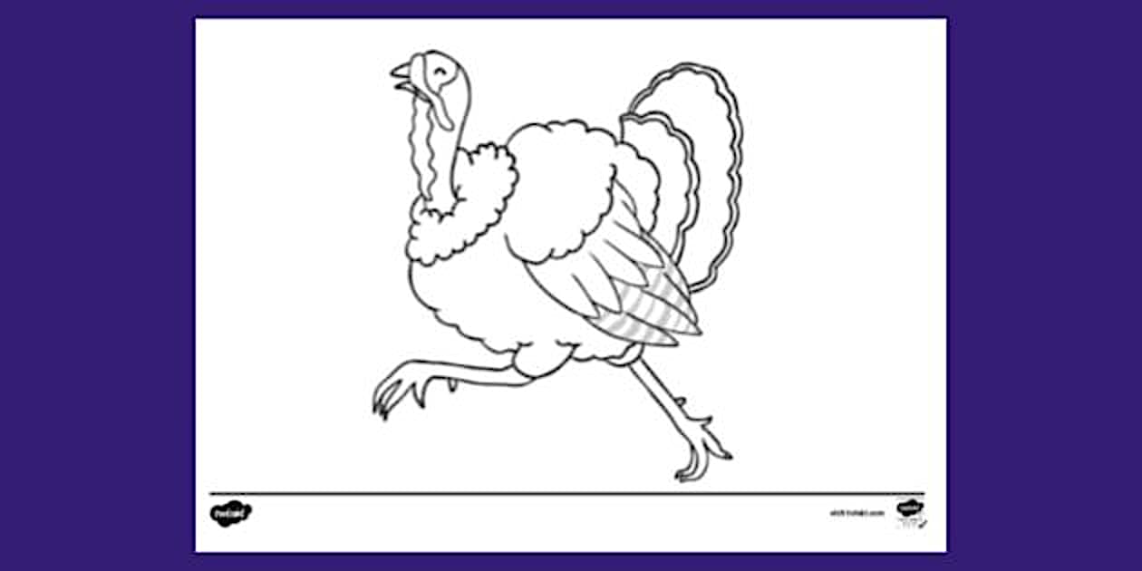 Turkey Colouring Page | Colouring Sheets (teacher made)