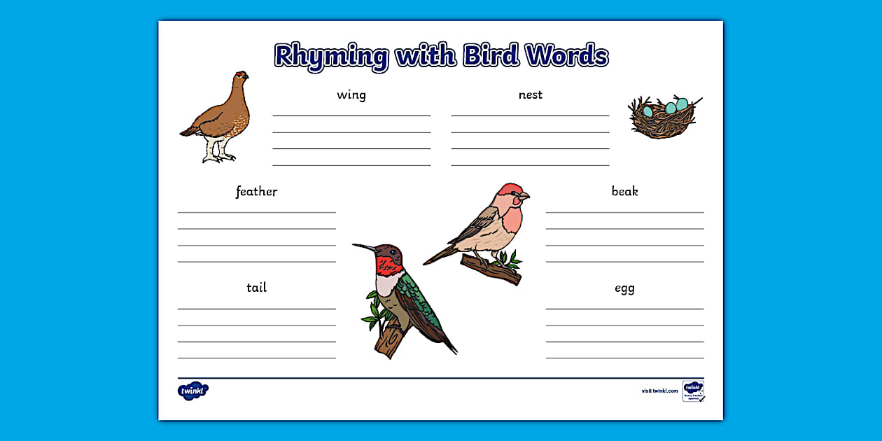 Rhyme with Bird Words Worksheet (Teacher-Made) - Twinkl