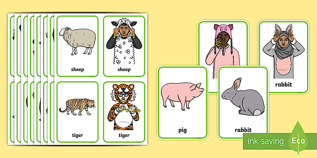 BSL Animal Flashcards (teacher made) - Twinkl