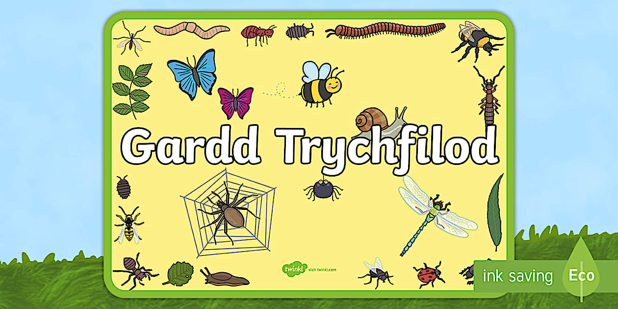 Poster Arddangos Gardd Trychfilod (teacher made) - Twinkl