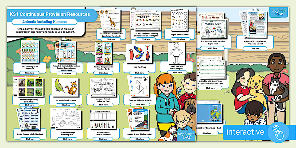 Continuous Provision | Animals Including Humans | KS1