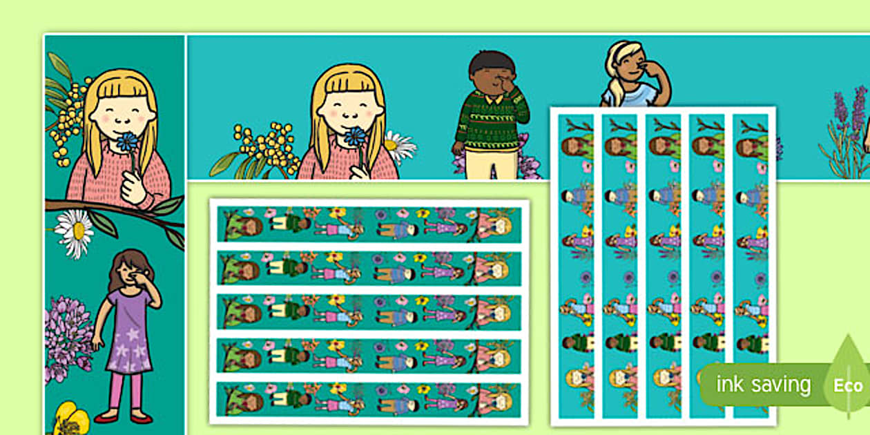 Smell Display Borders (teacher made) - Twinkl