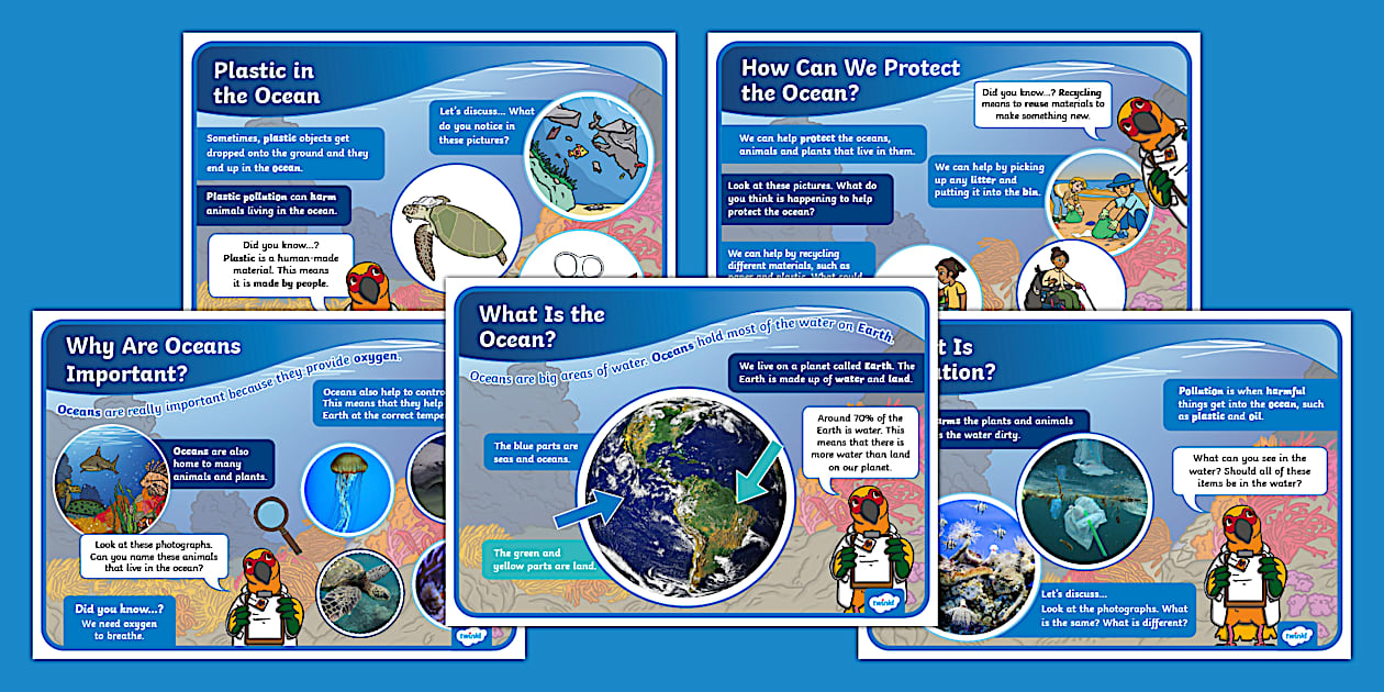 All About Taking Care of the Ocean Fact Files | Twinkl