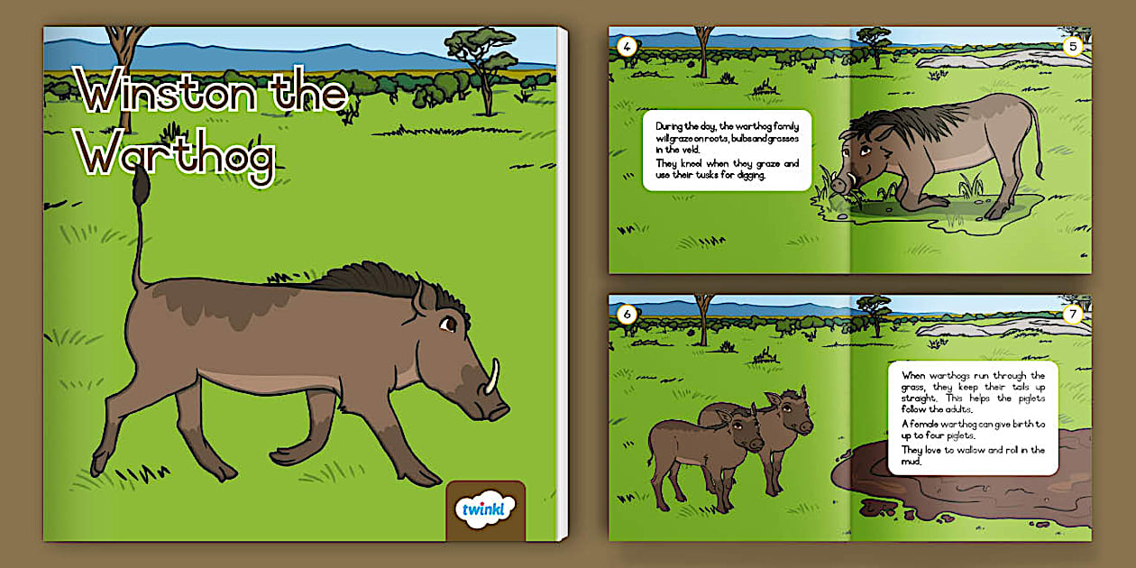 Picture Story: Winston the Warthog eBook (Teacher-Made)