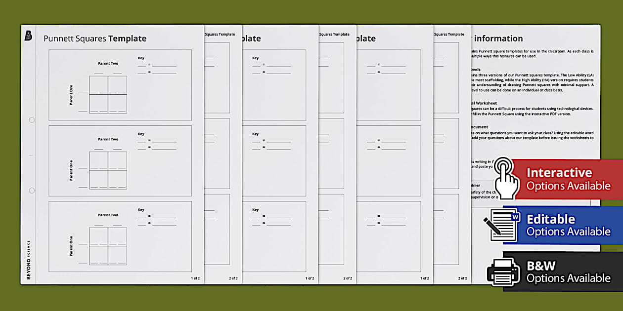 Punnett Squares Template - Twinkl