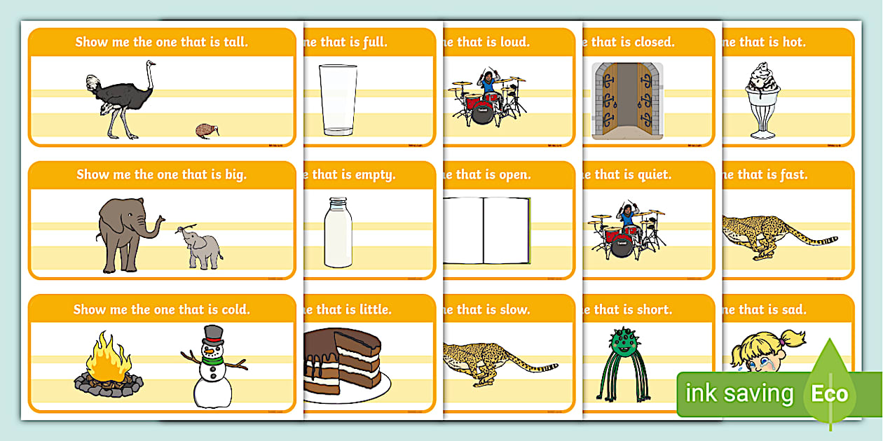 Show Me The Basic Concept Cards (teacher made) - Twinkl