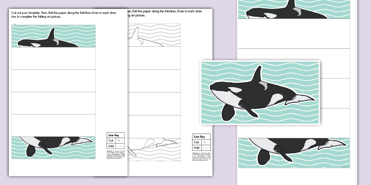 Orca Folding Art Template (teacher made) - Twinkl