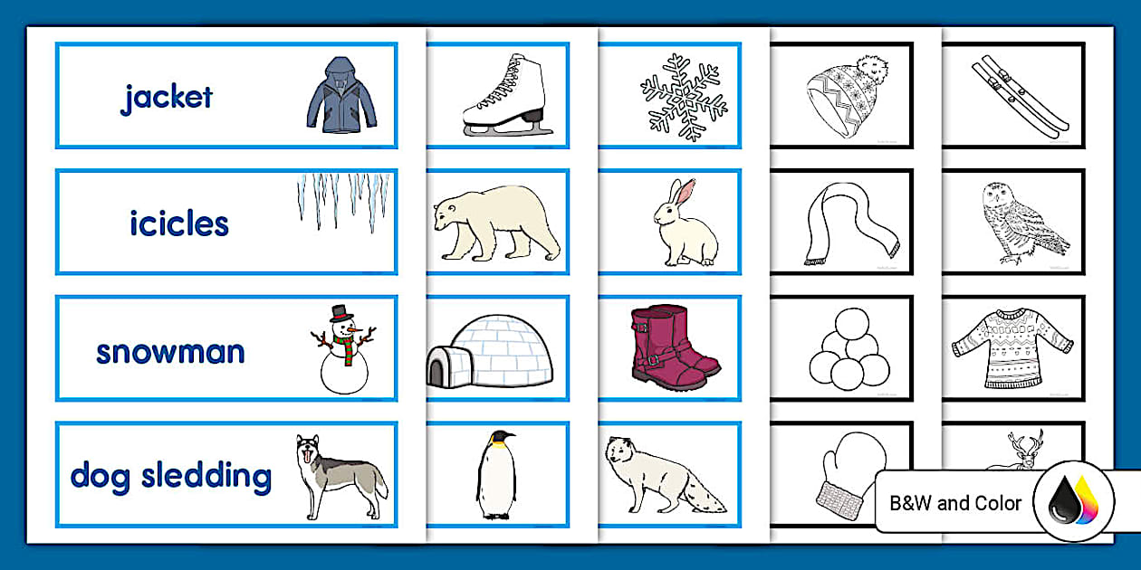 Winter Related Words | Winter Resource | Twinkl USA - Twinkl