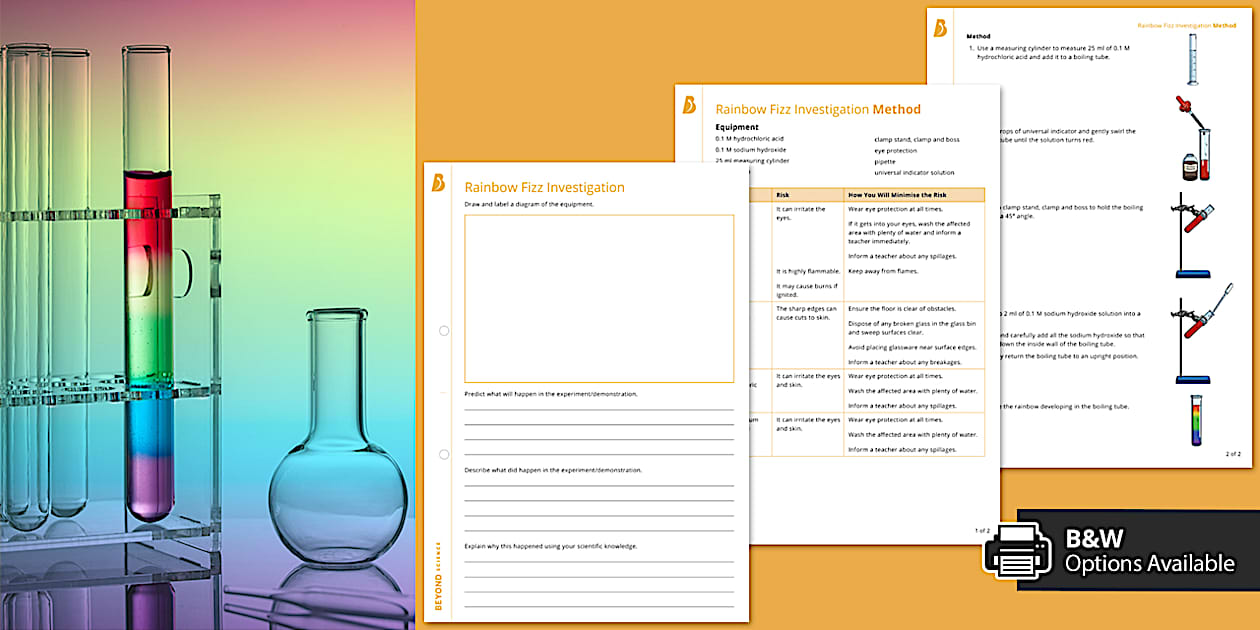 Rainbow Fizz Transition Activity Pack (teacher made)