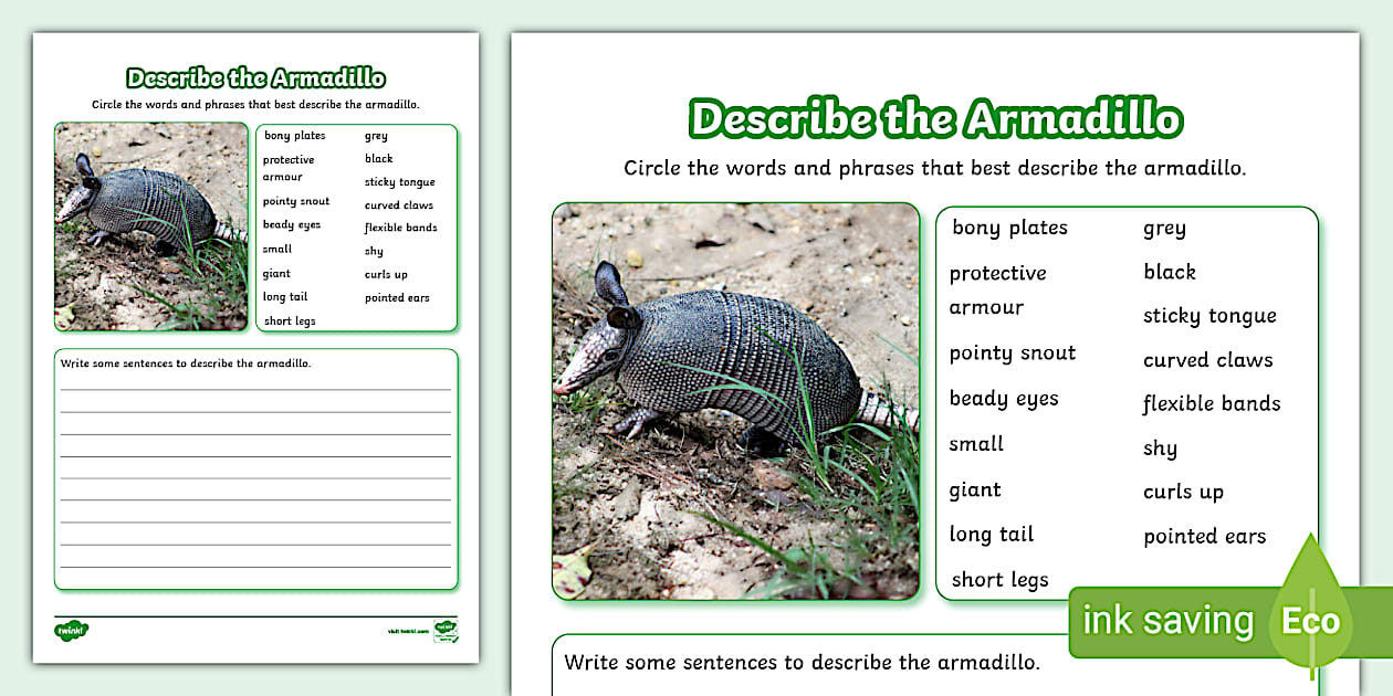 Describe the Armadillo Writing Worksheet - Twinkl - KS1