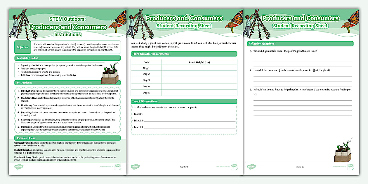STEM Outdoors: Producers and Consumers (teacher made)