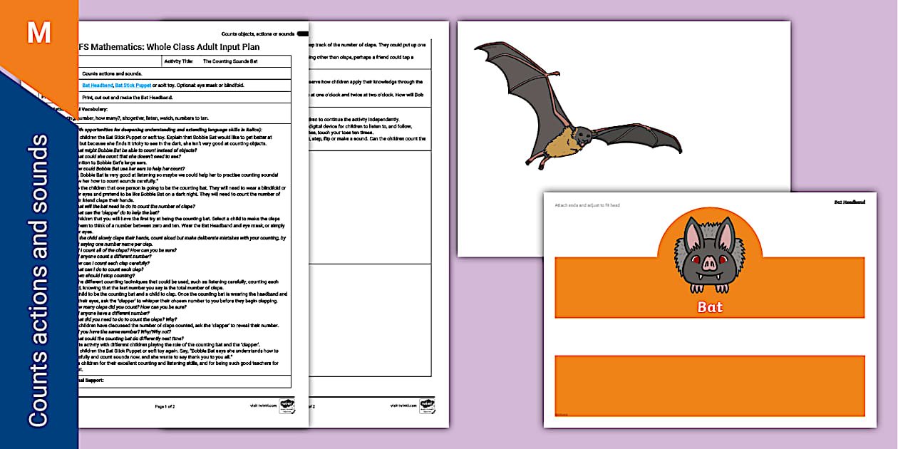 EYFS Maths Counting Bat Adult Input Plan and Resource Pack