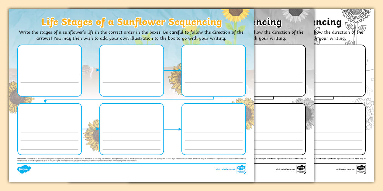 Life Stages of a Sunflower Sequencing Mind Map