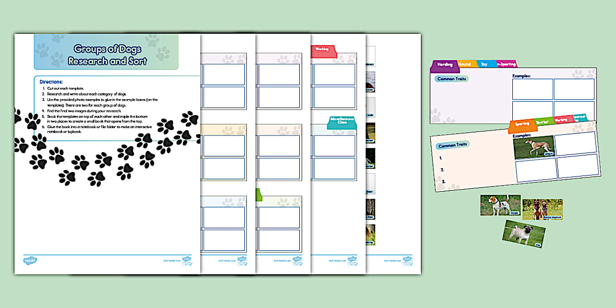 Groups of Dogs Research and Sort Worksheet (Teacher-Made)