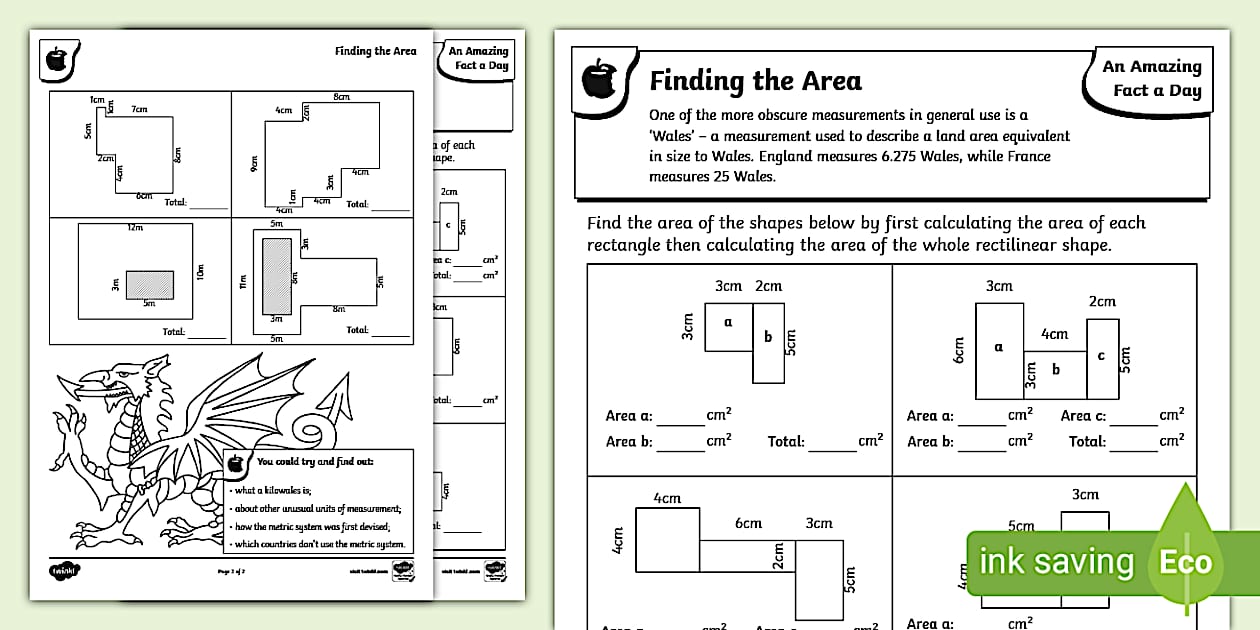 Printable Area Worksheet | Maths Resources (teacher made)