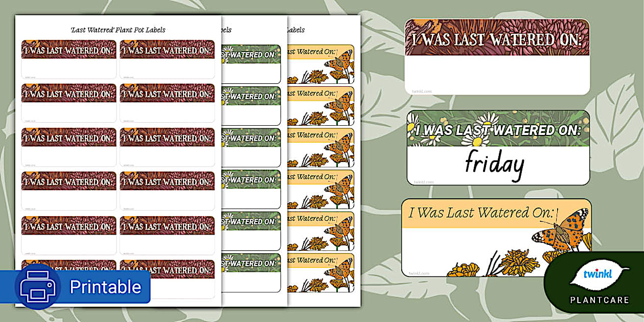 Printable Write-On Plant Pot Labels (Teacher-Made) - Twinkl