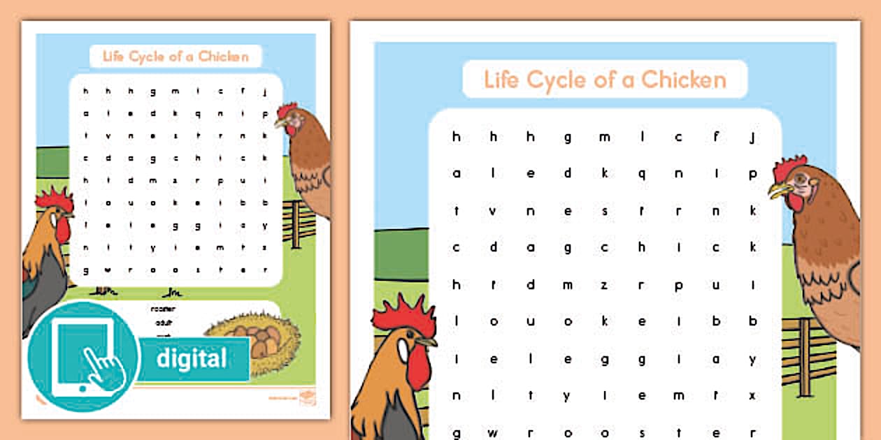 Life Cycle of a Chicken Word Search for K-2nd Grade - Twinkl