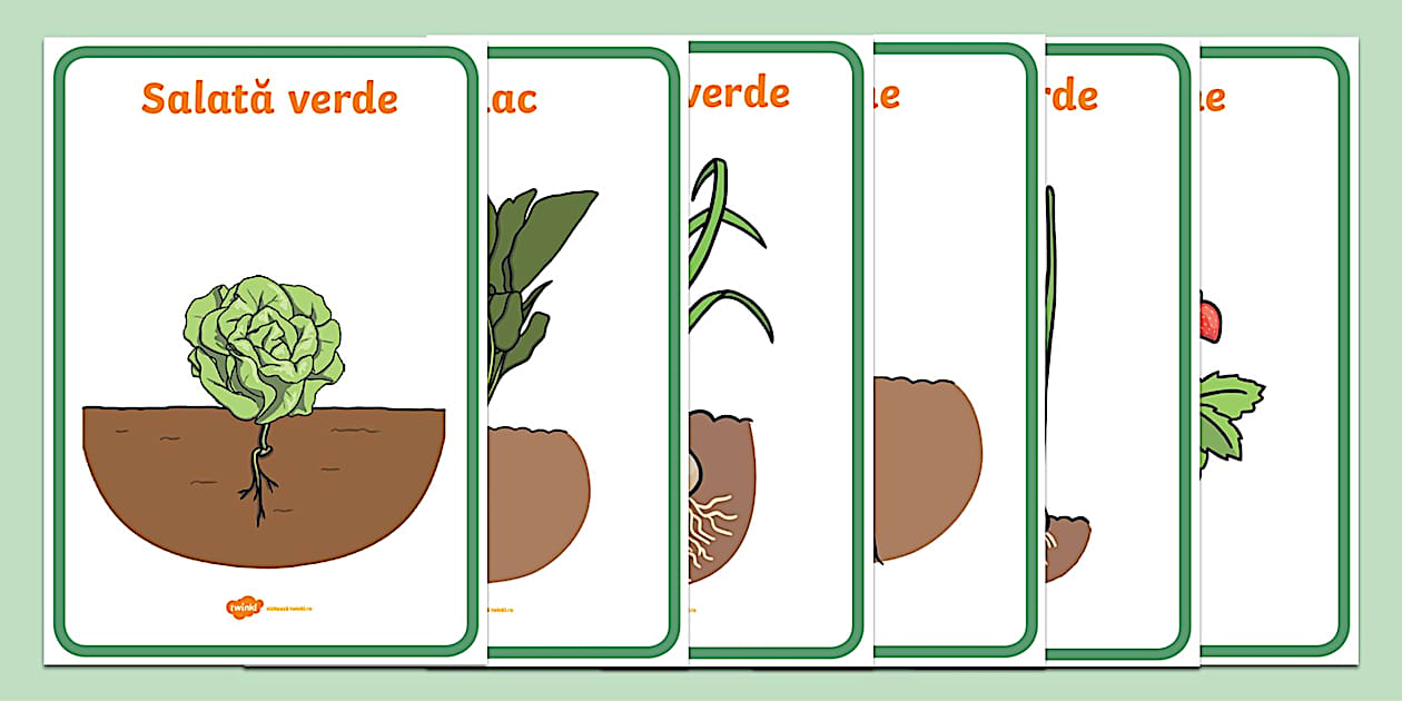 Legume și fructe de primăvară – Planșe