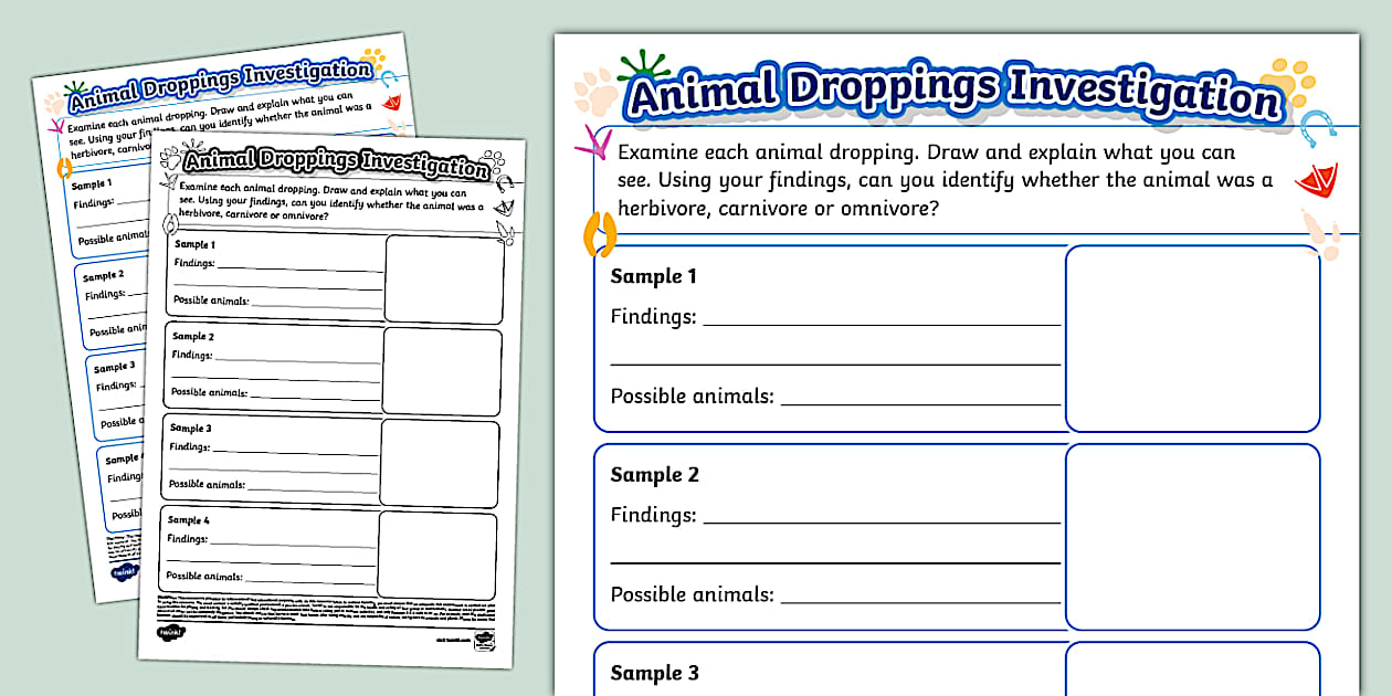 Animal Droppings Investigation Worksheet - Twinkl