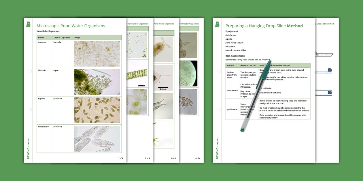 Pond Water Microscope Practical | Biology | Beyond Science