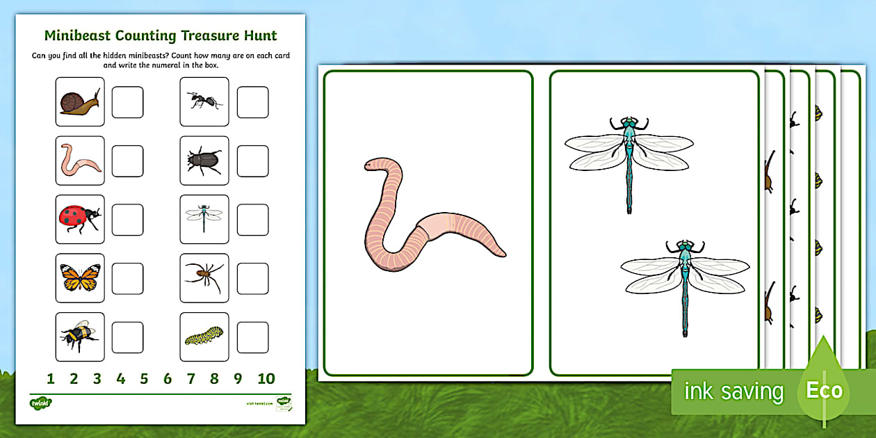 Maths Minibeast Counting Treasure Hunt Activity - Twinkl