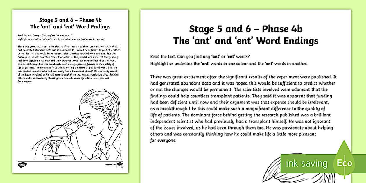 Northern Ireland Literacy Linguistic Phonics Stage 5 and 6, Phase 4b Worksheet