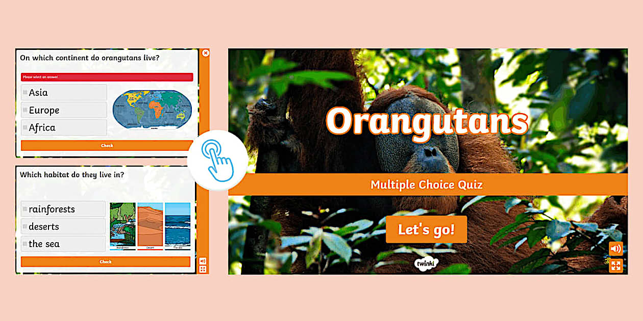 Orangutan Interactive Quiz - KS1 (teacher made) - Twinkl