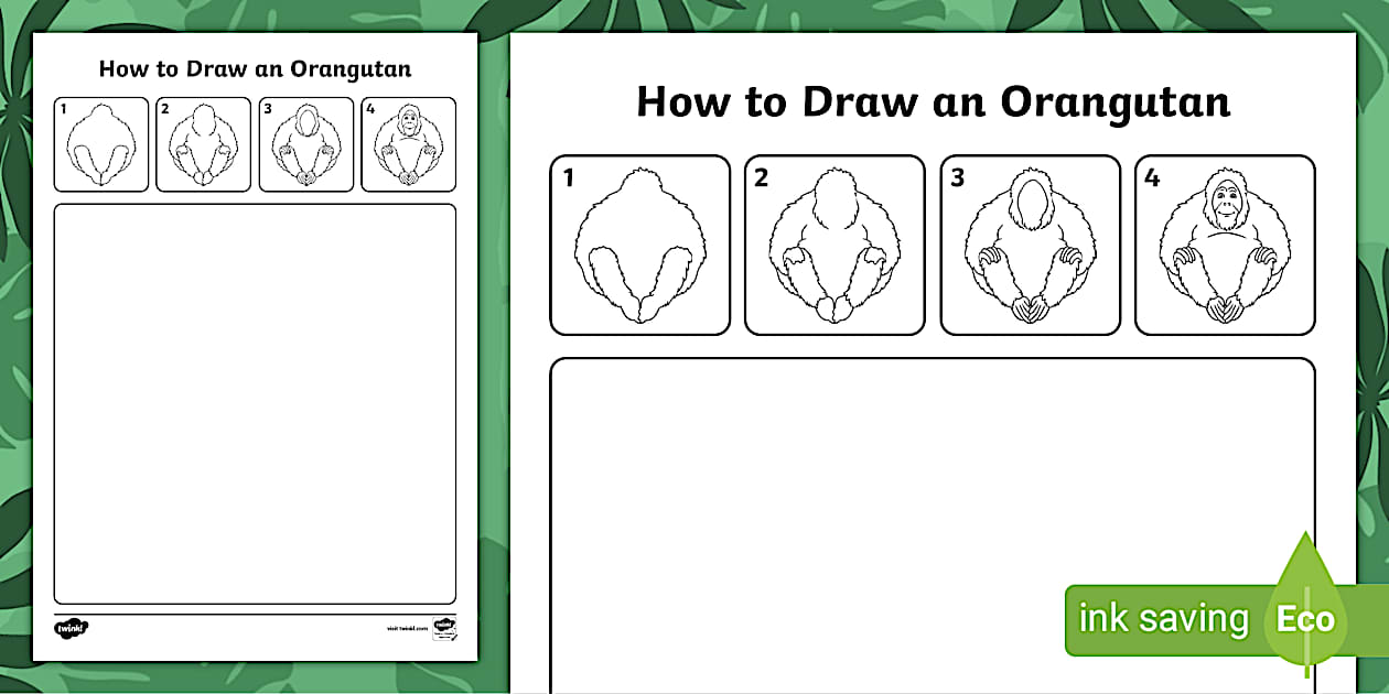 How To Draw an Orangutan Activity | Drawing | Twinkl | KS1