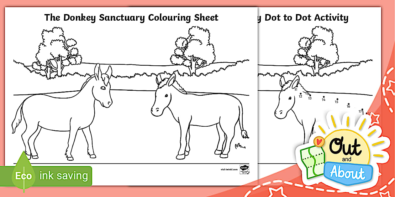 The Donkey Sanctuary Activity Pack - Twinkl Resources