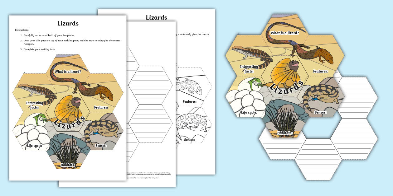 Lizard Hexagon Writing Template (Teacher-Made) - Twinkl
