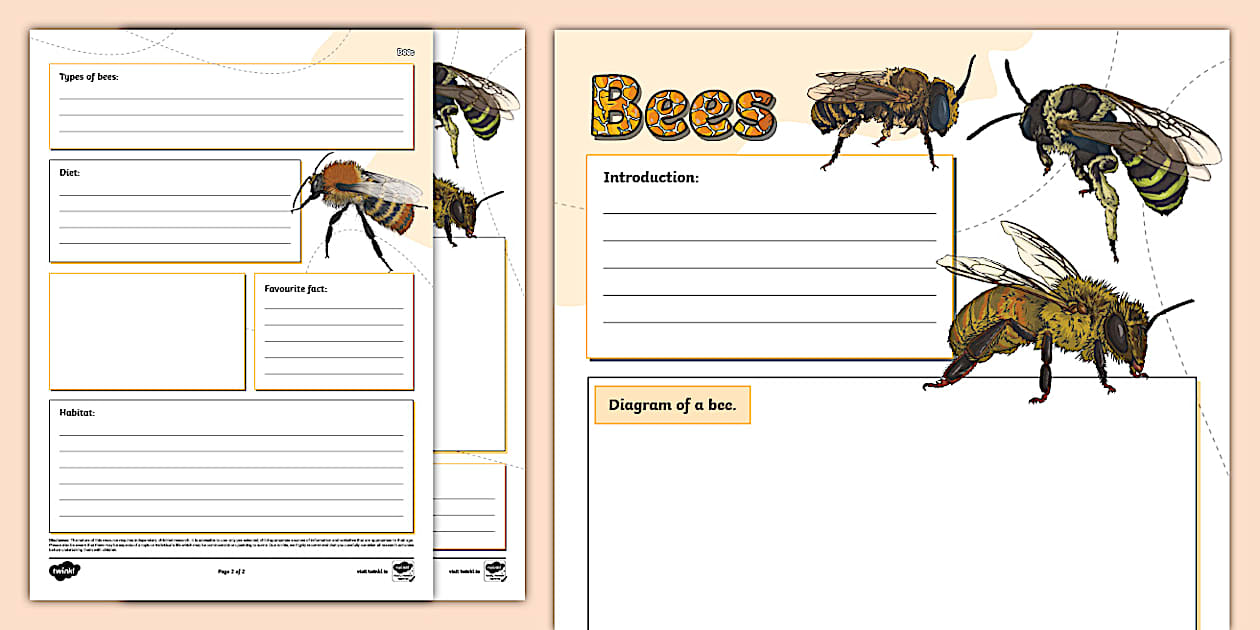 Bees Non-Chronological Report Template (teacher made)