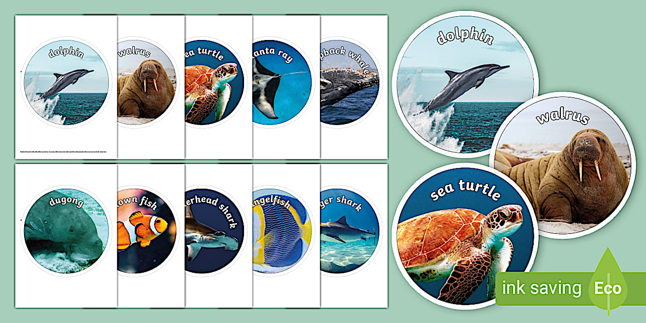 Aquatic Animal Circle Photo Cut-Outs
