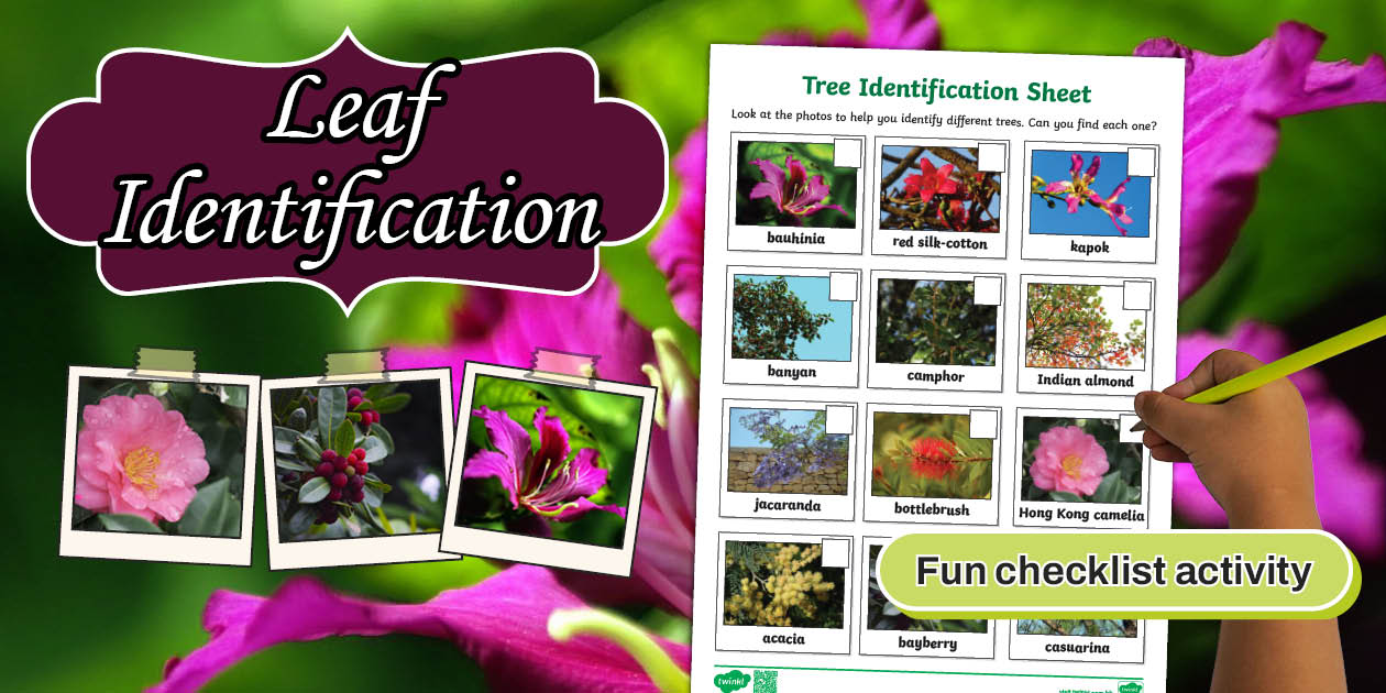 * NEW * Leaf Identification Checklist
