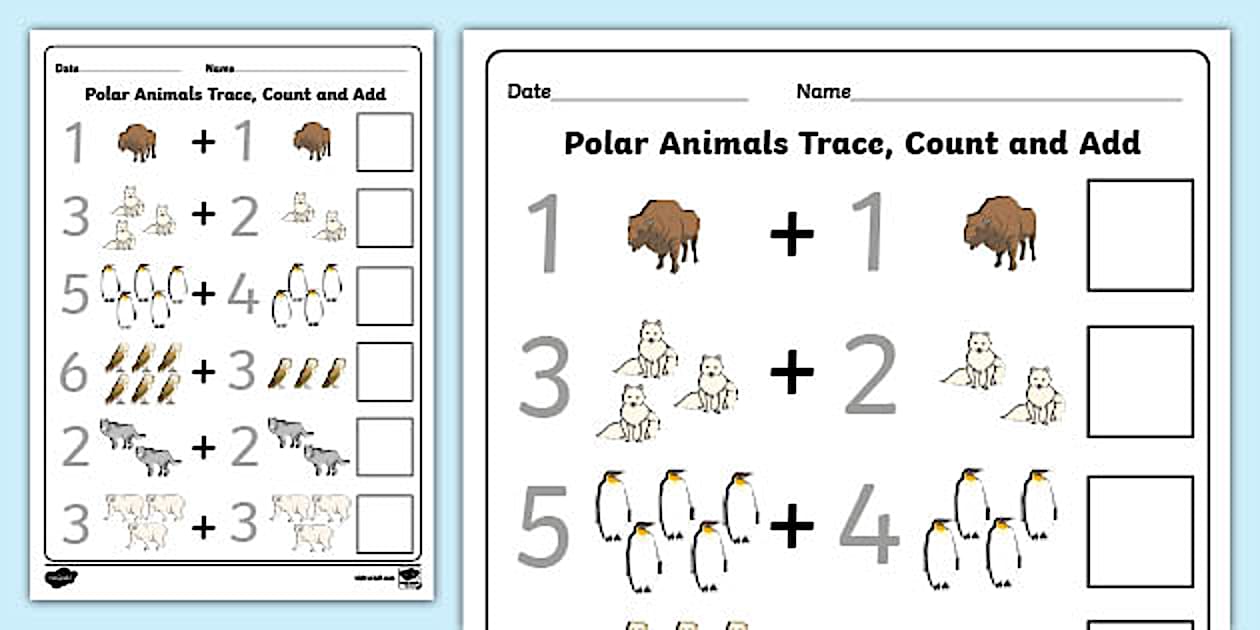 Polar Animals Trace Count and Add Worksheet - Twinkl