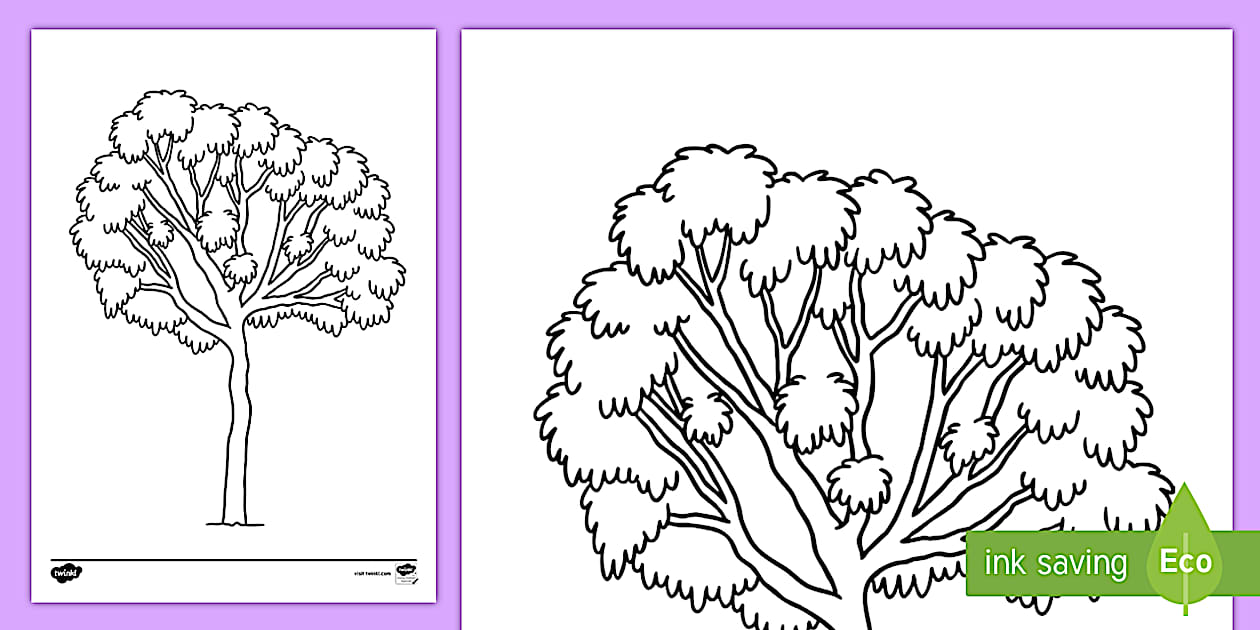 Ghaf Tree Colouring Page (Teacher-Made) - Twinkl