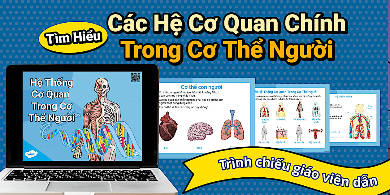 Powerpoint Hệ Thống Cơ Quan Trong Cơ Thể Người