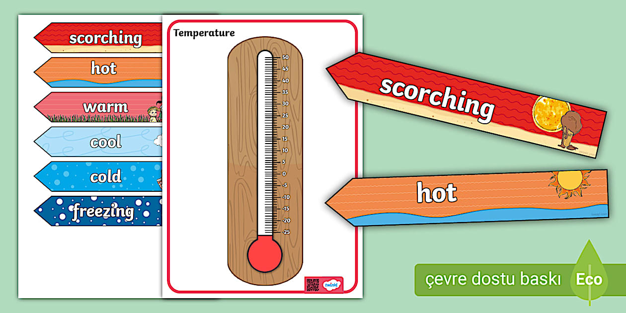 Thermometer (Minus 25 to 50) (teacher made) - Twinkl
