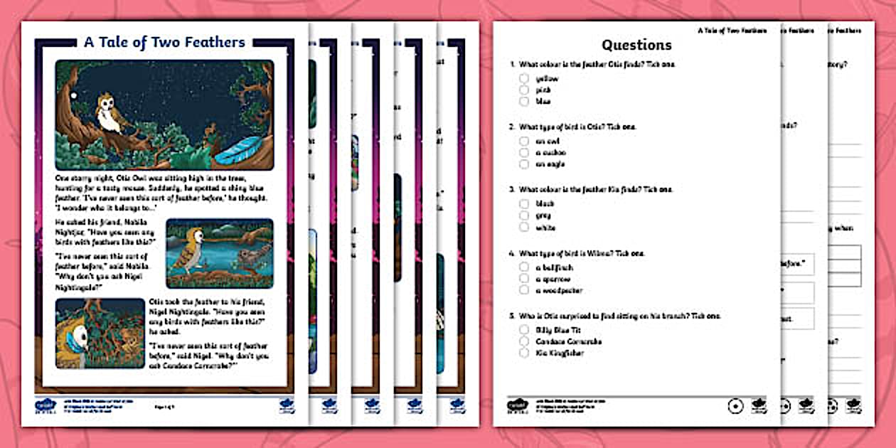 Editable Year 2 A Tale of Two Feathers Differentiated Reading Comprehension