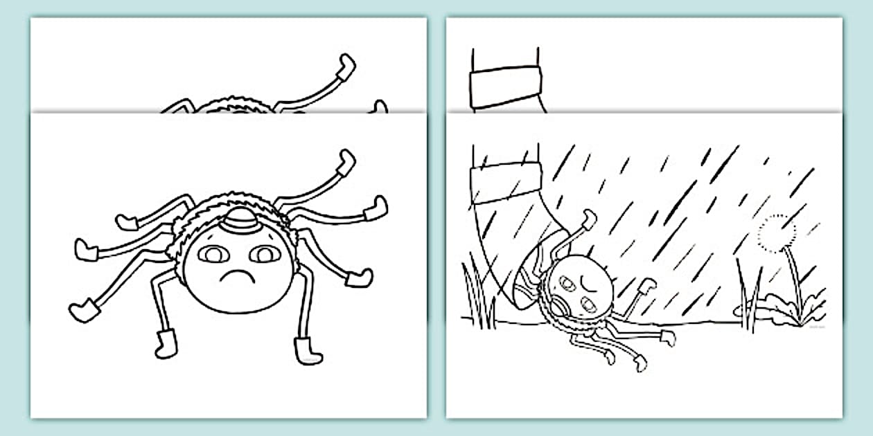 The Itsy Bitsy Spider Coloring Sheets (teacher made)