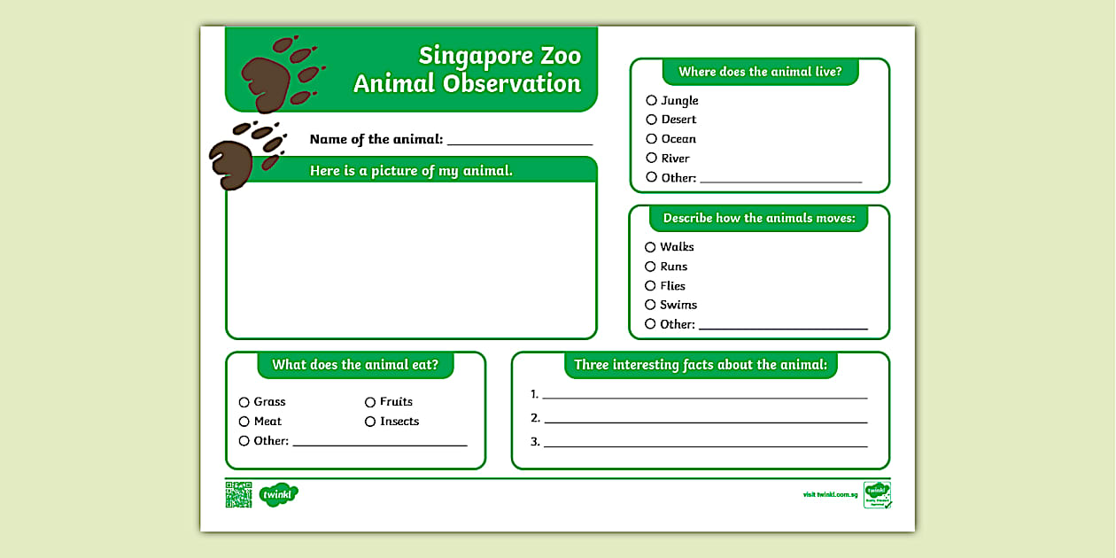 Singapore Zoo Animal Observation Worksheet (teacher made)