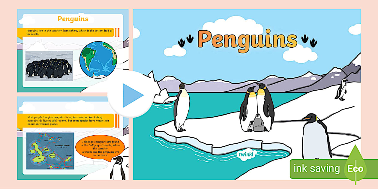 Penguin Fact File PowerPoint | Animal Fact Files - Twinkl