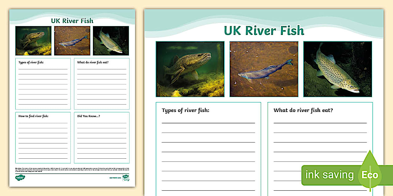 UK River Fish Fact File Template (Teacher-Made) - Twinkl
