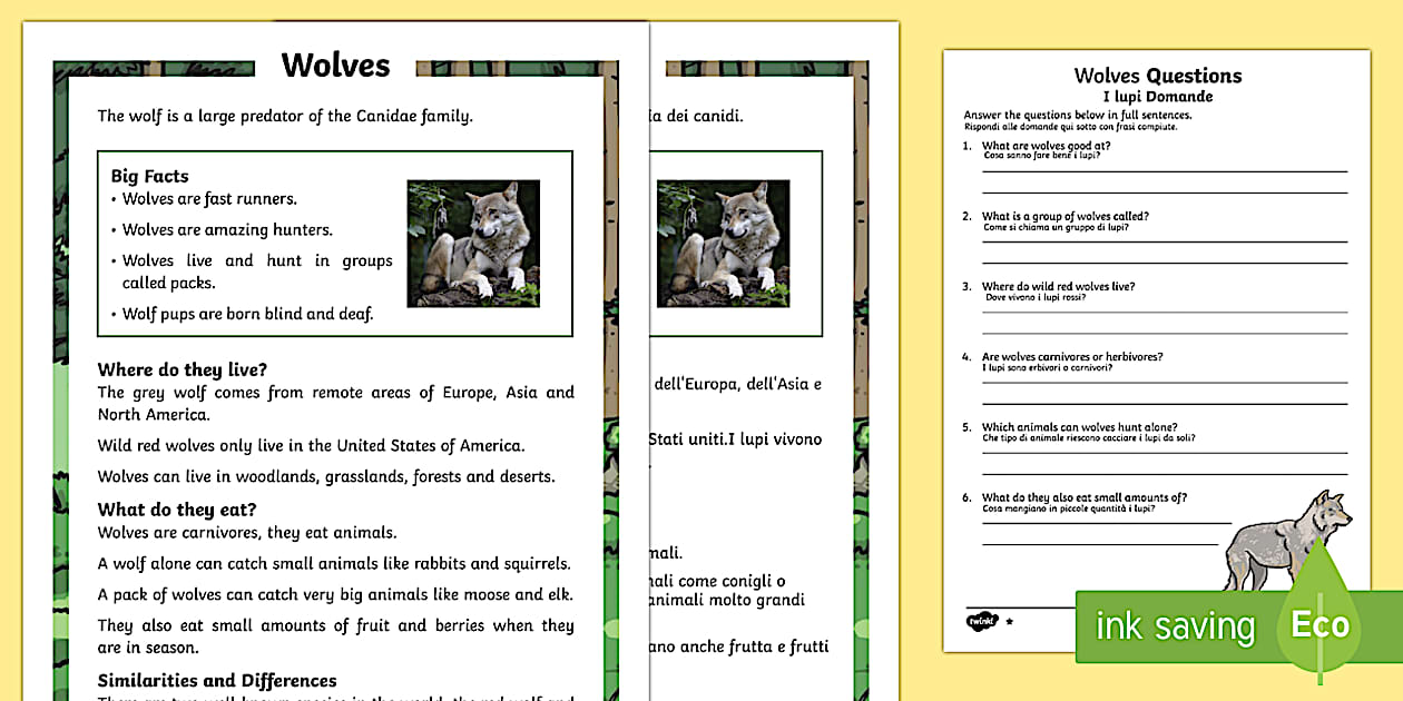 Wolves Reading Comprehension Italian Translation - Twinkl