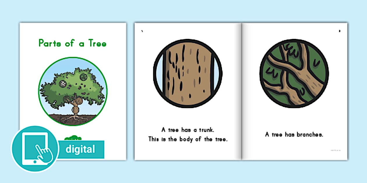 Parts of a Tree eBook | Emergent Reader | Twinkl USA
