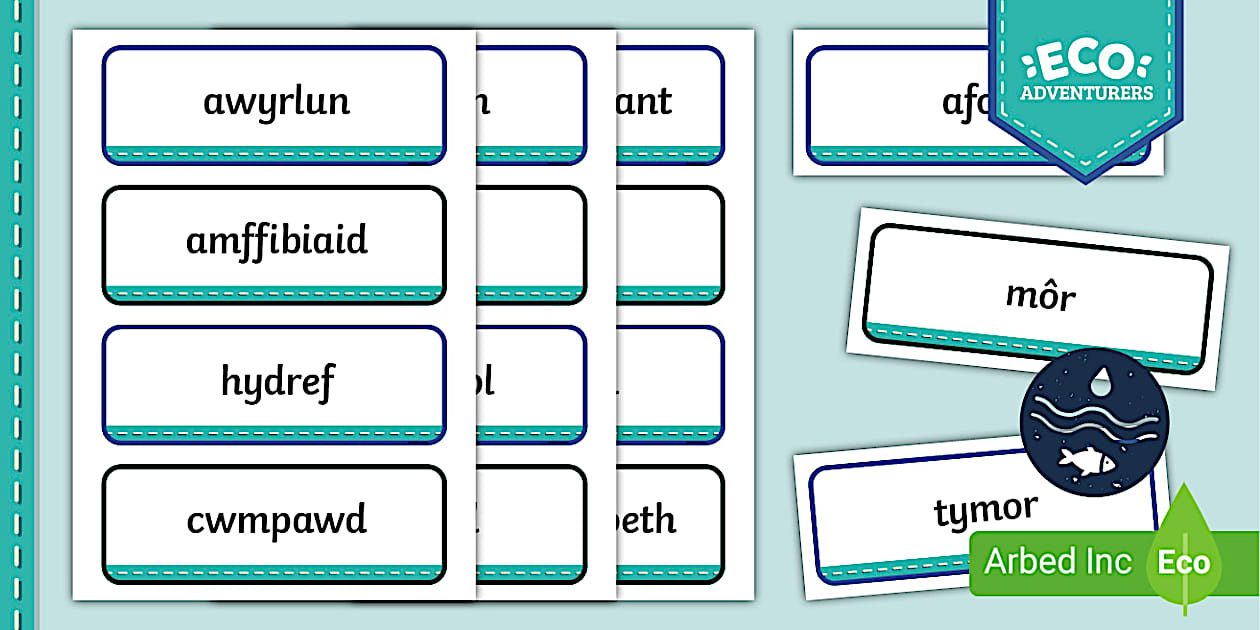 Bywyd o Dan y Dŵr: Cardiau Geirfa Allweddol (teacher made)